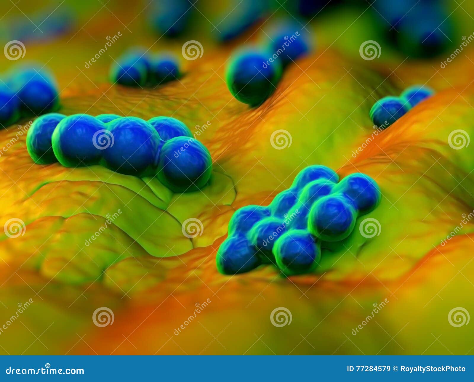 Superbug bacteria stock illustration. Illustration of dividing - 77284579
