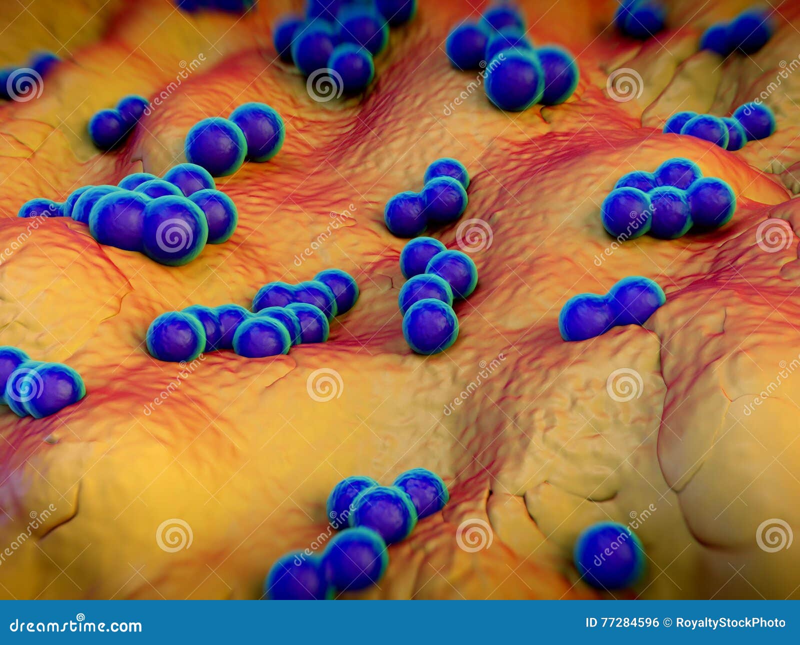 Superbug bacteria stock illustration. Illustration of bacterium - 77284596