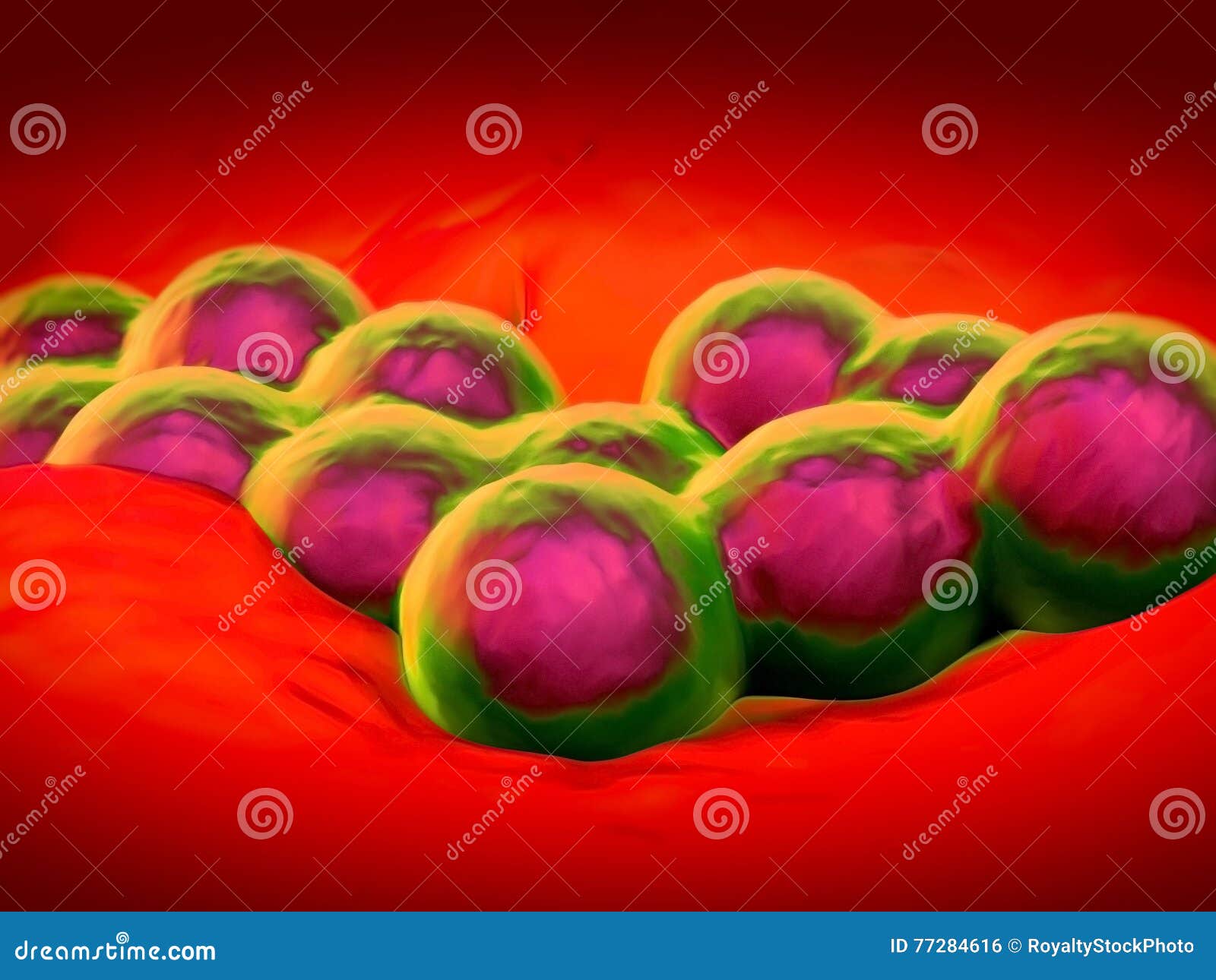 Superbug bacteria stock illustration. Illustration of bacterial - 77284616
