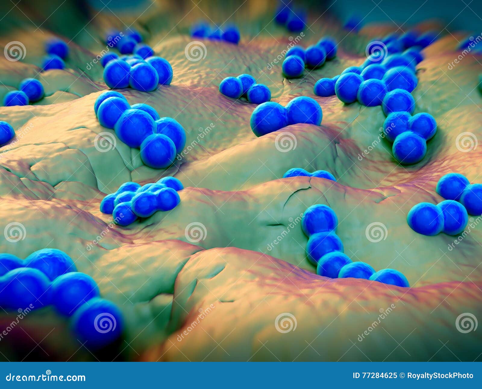 Superbug bacteria stock illustration. Illustration of coccus - 77284625