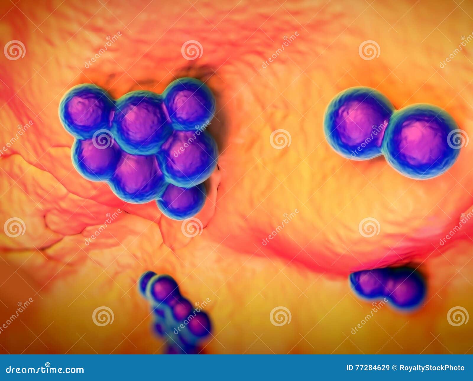 Superbug bacteria stock illustration. Illustration of acquired - 77284629