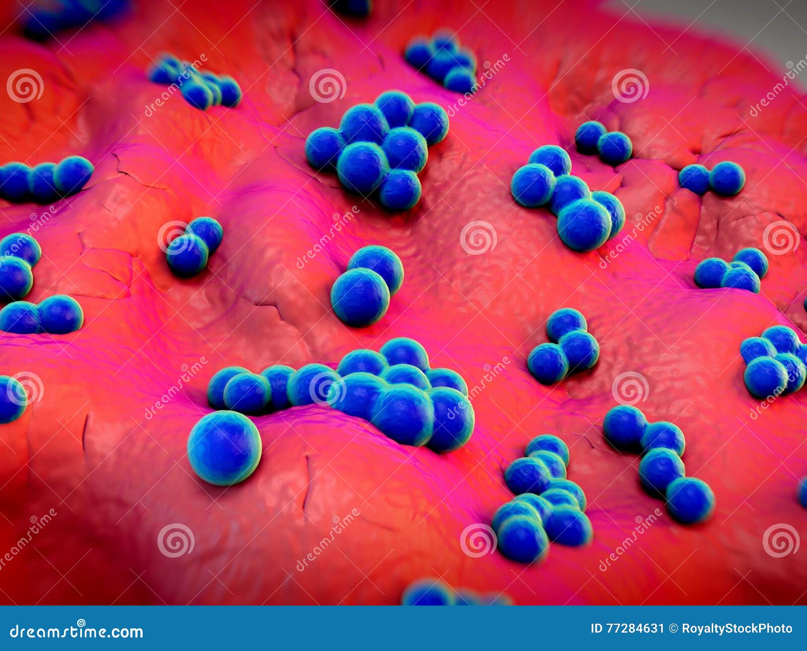 Superbug bacteria stock illustration. Illustration of coccus - 77284631