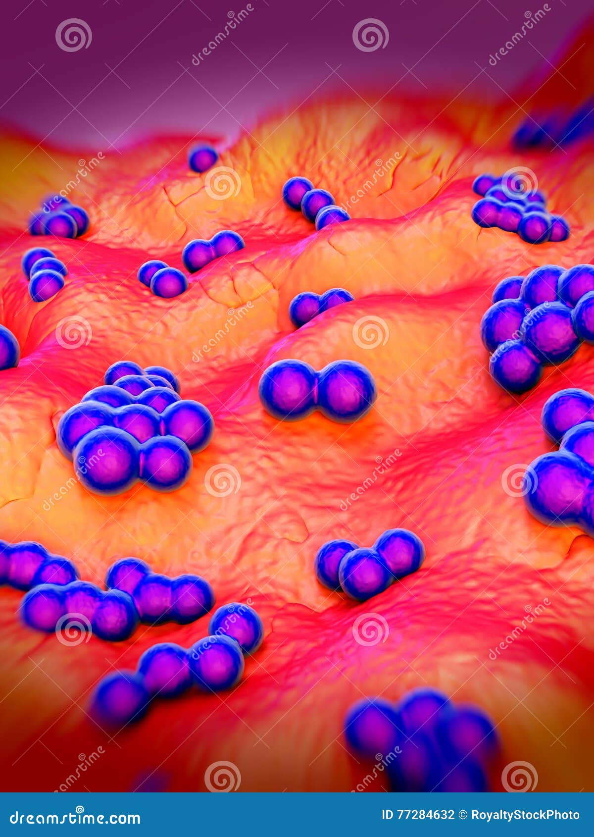 Superbug bacteria stock illustration. Illustration of medicine - 77284632