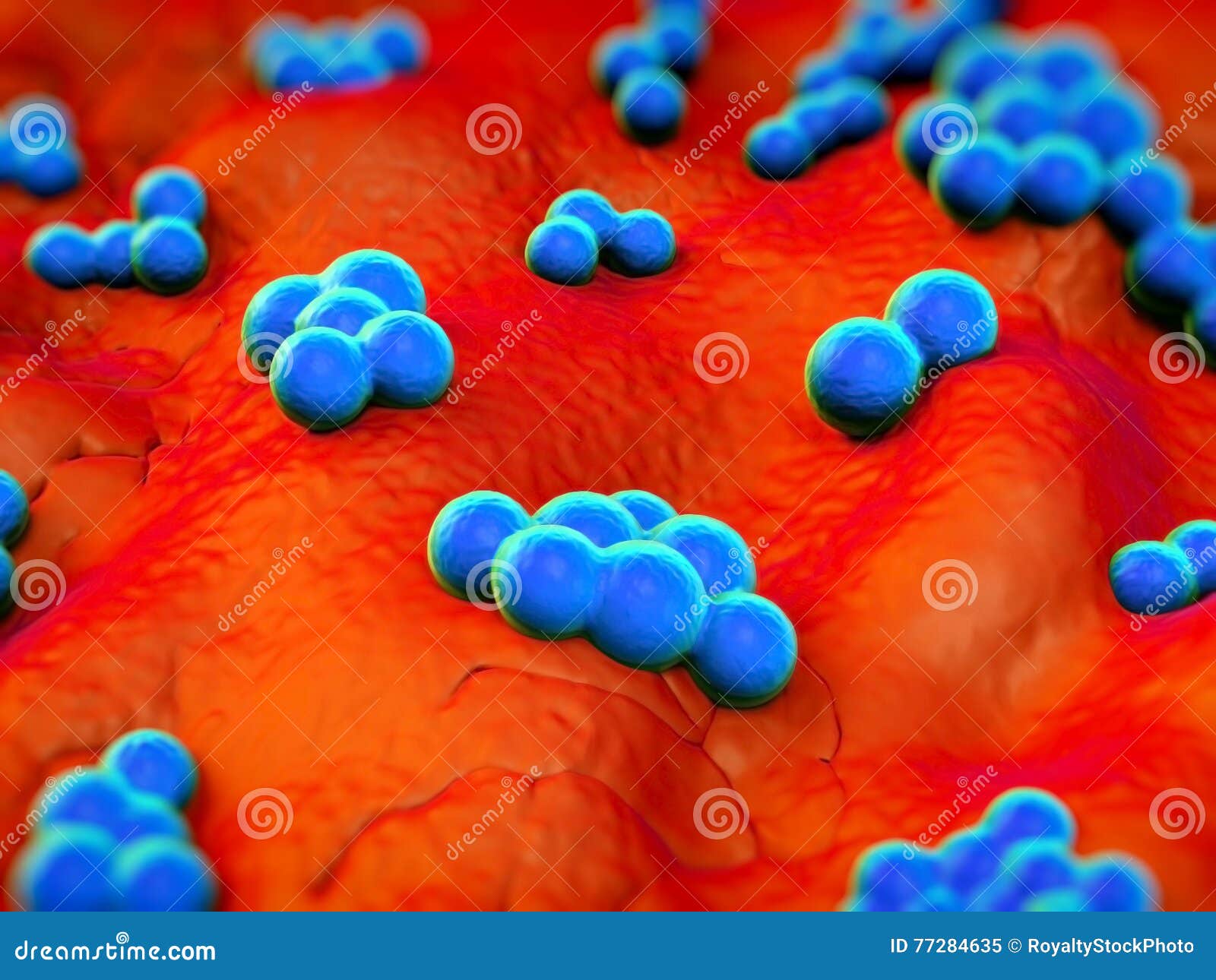 Superbug bacteria stock illustration. Illustration of magnified - 77284635