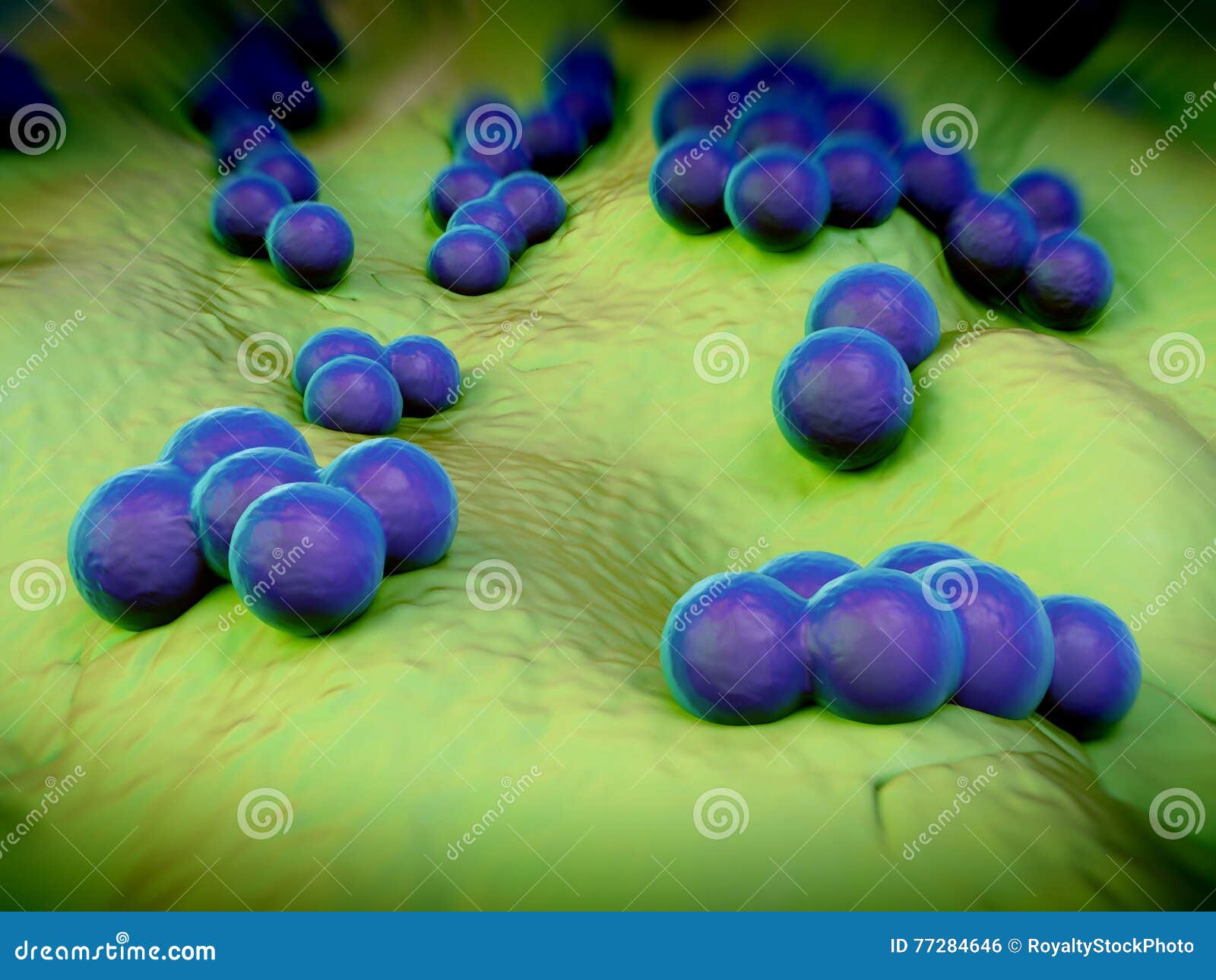 Superbug bacteria stock illustration. Illustration of antibiotic - 77284646