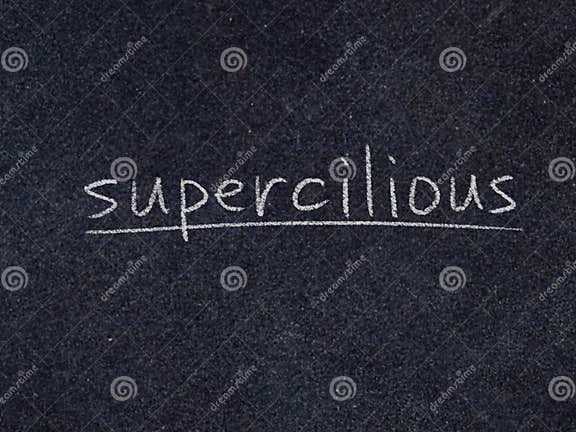 Supercilious stock photo. Image of background, learning - 241574500