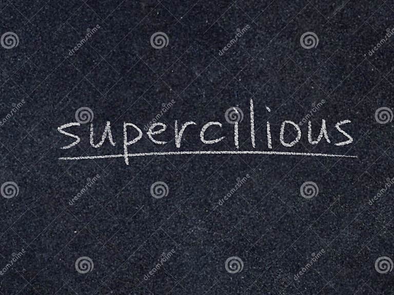 Supercilious stock photo. Image of background, learning - 241574500