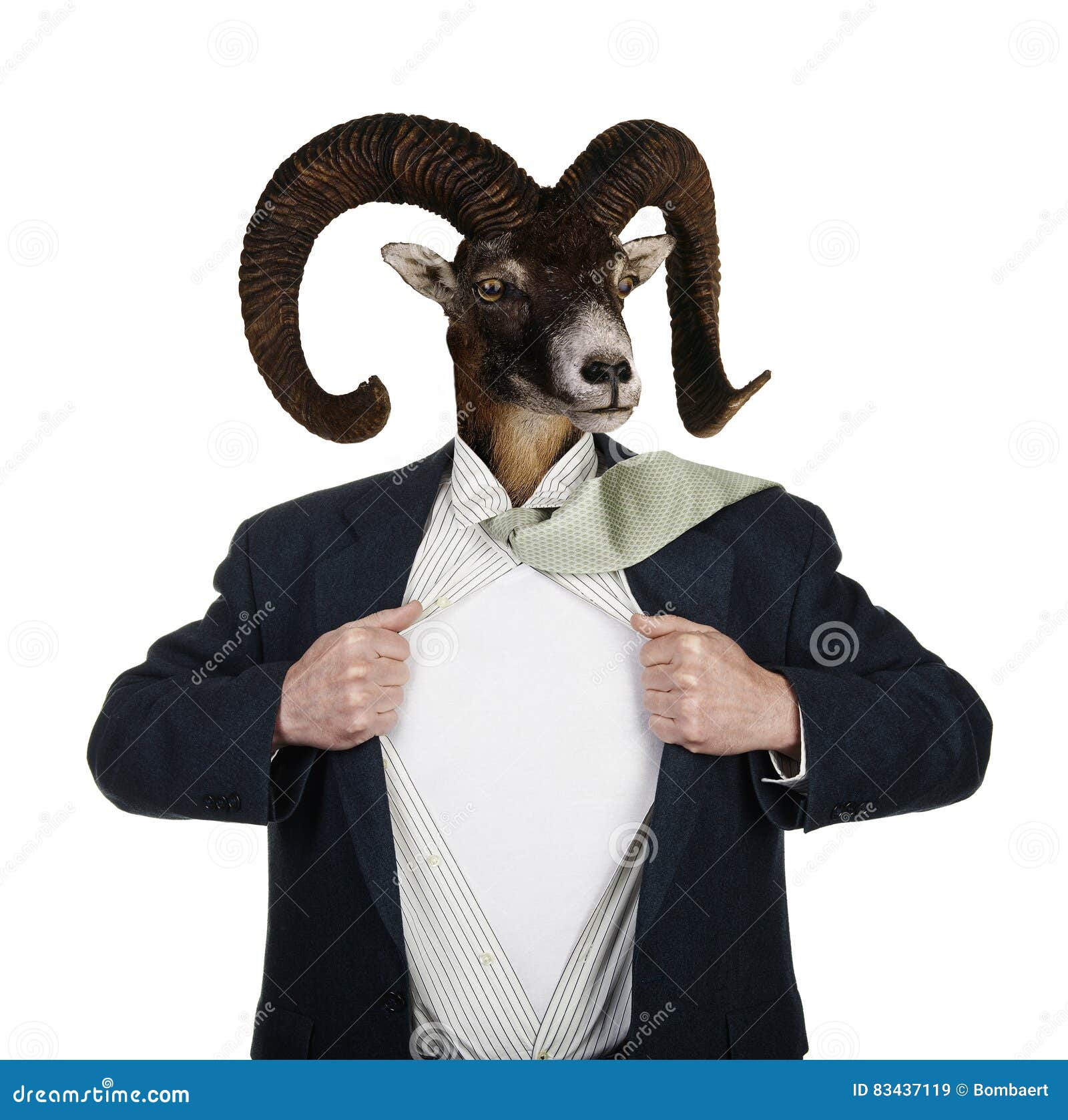 Supereroe Con La Testa Di Una Capra Immagine Stock - Immagine di ...
