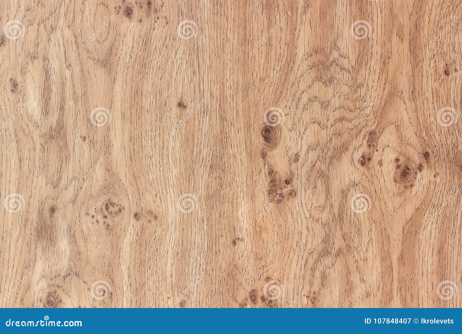 Superficie De Madera Lisa Barnizada Modelo De Madera Natural Imagen de ...