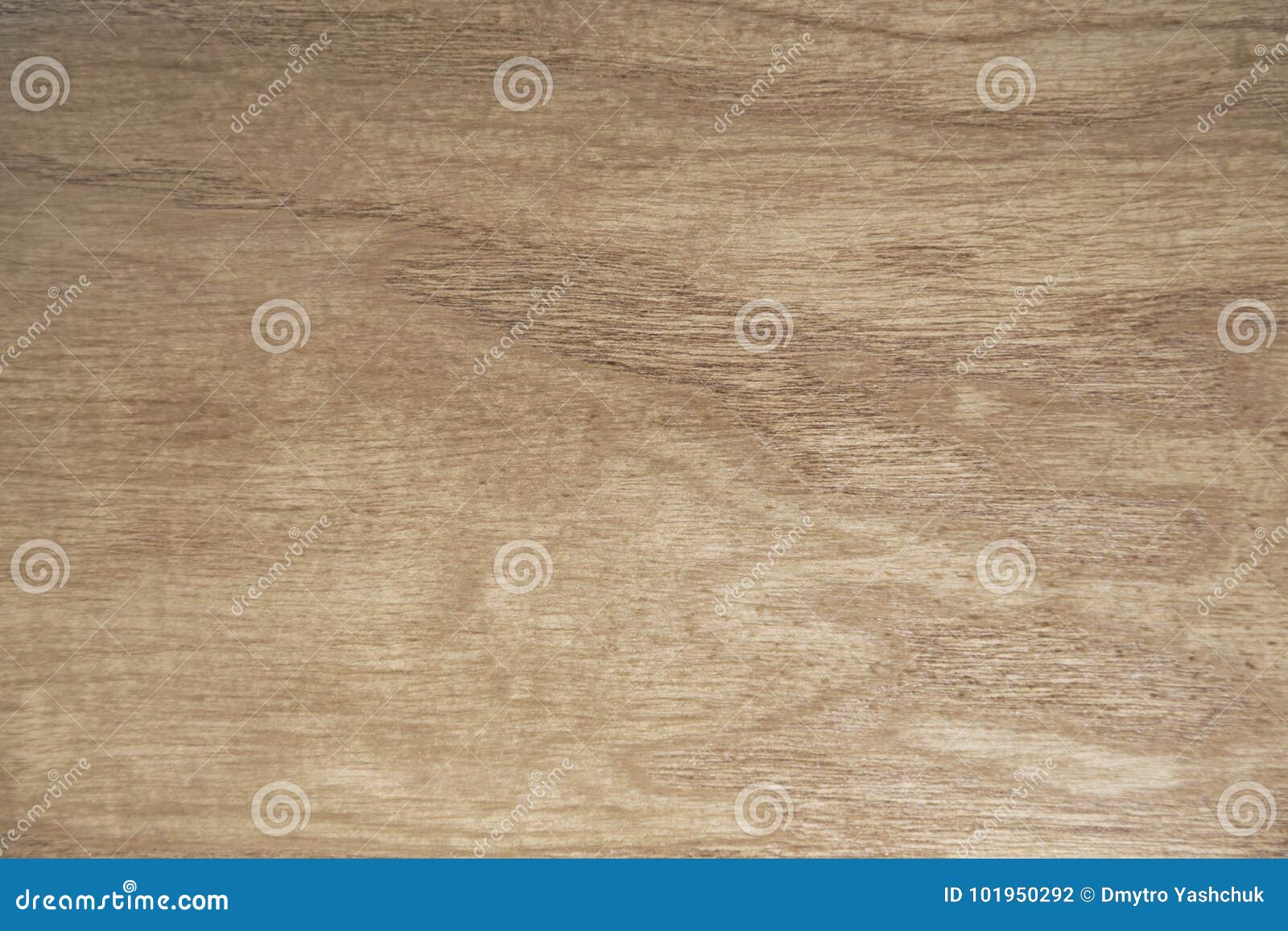 Superficie De Madera Suave Blanca Como Fondo Foto de archivo - Imagen ...