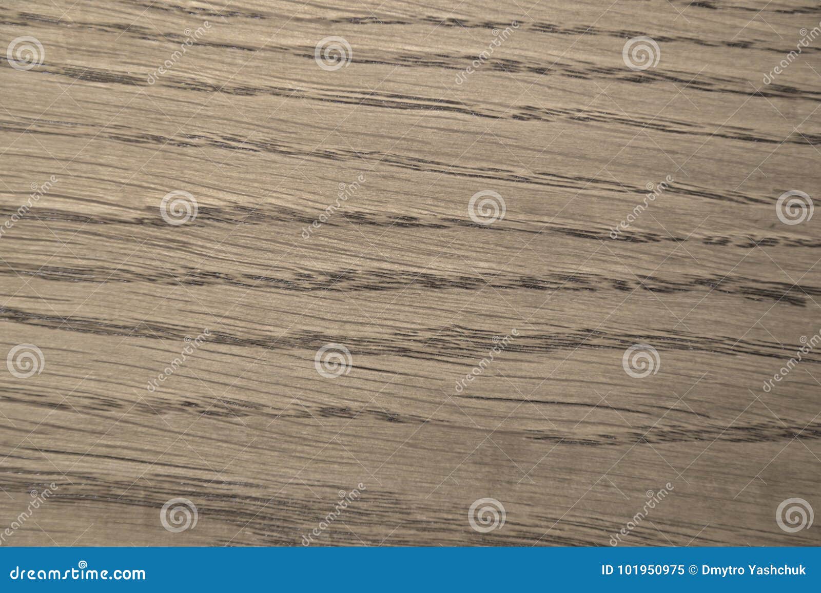 Superficie De Madera Suave Blanca Como Fondo Imagen de archivo - Imagen ...