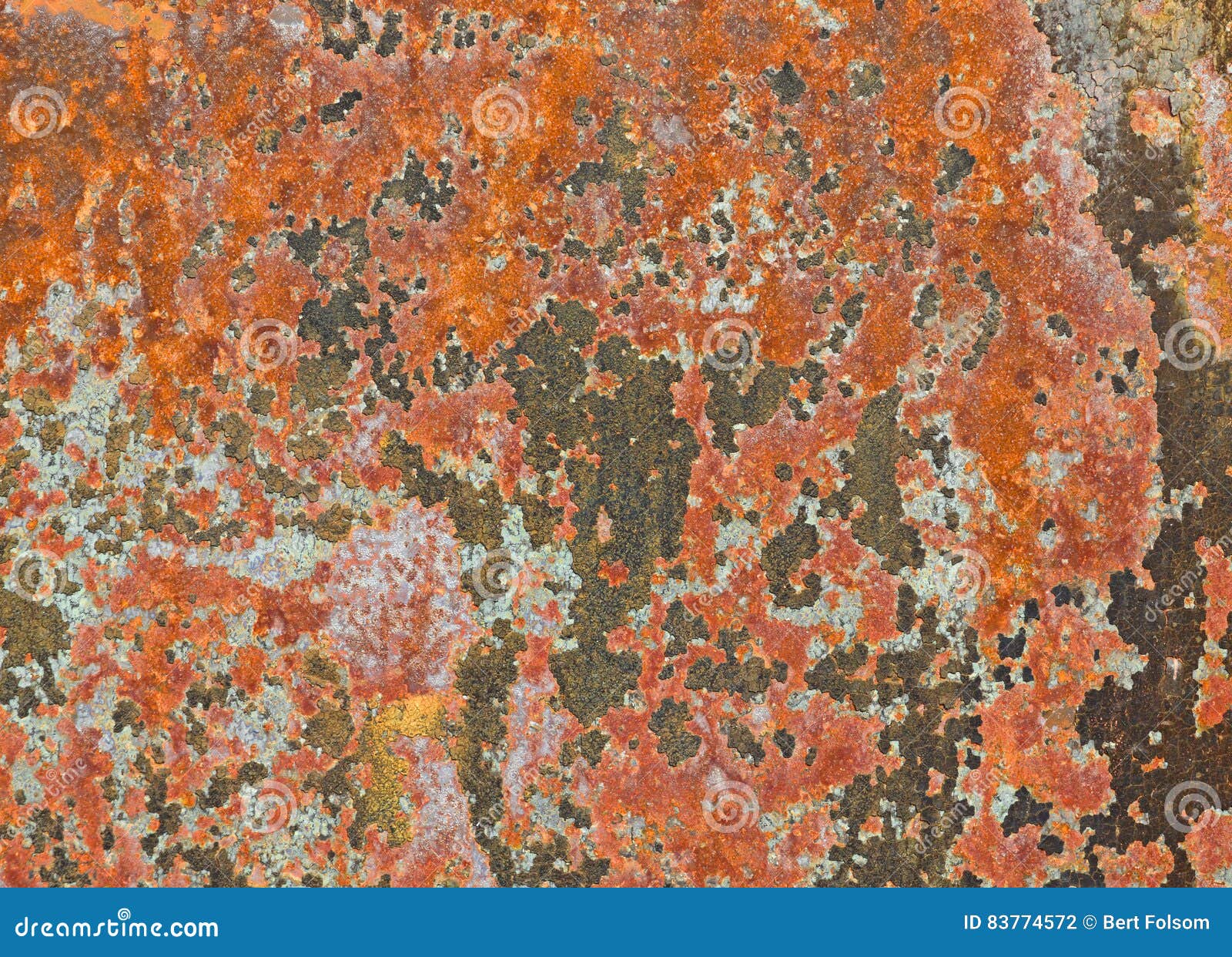 Superficie De Metal Oxidada Foto de archivo - Imagen de placa ...