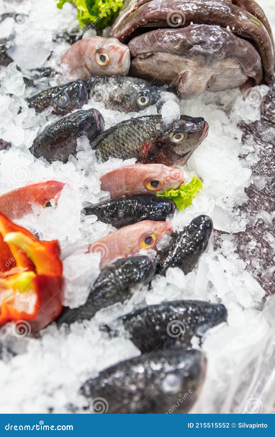 Supermarket Fishmonger with Fresh Fish Stock Photo - Image of ...