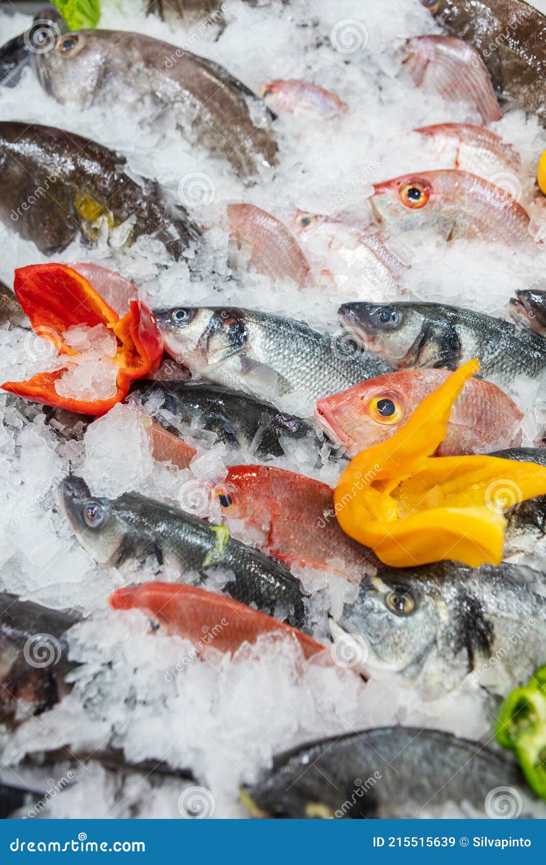 Supermarket Fishmonger with Fresh Fish Stock Image - Image of fresh ...