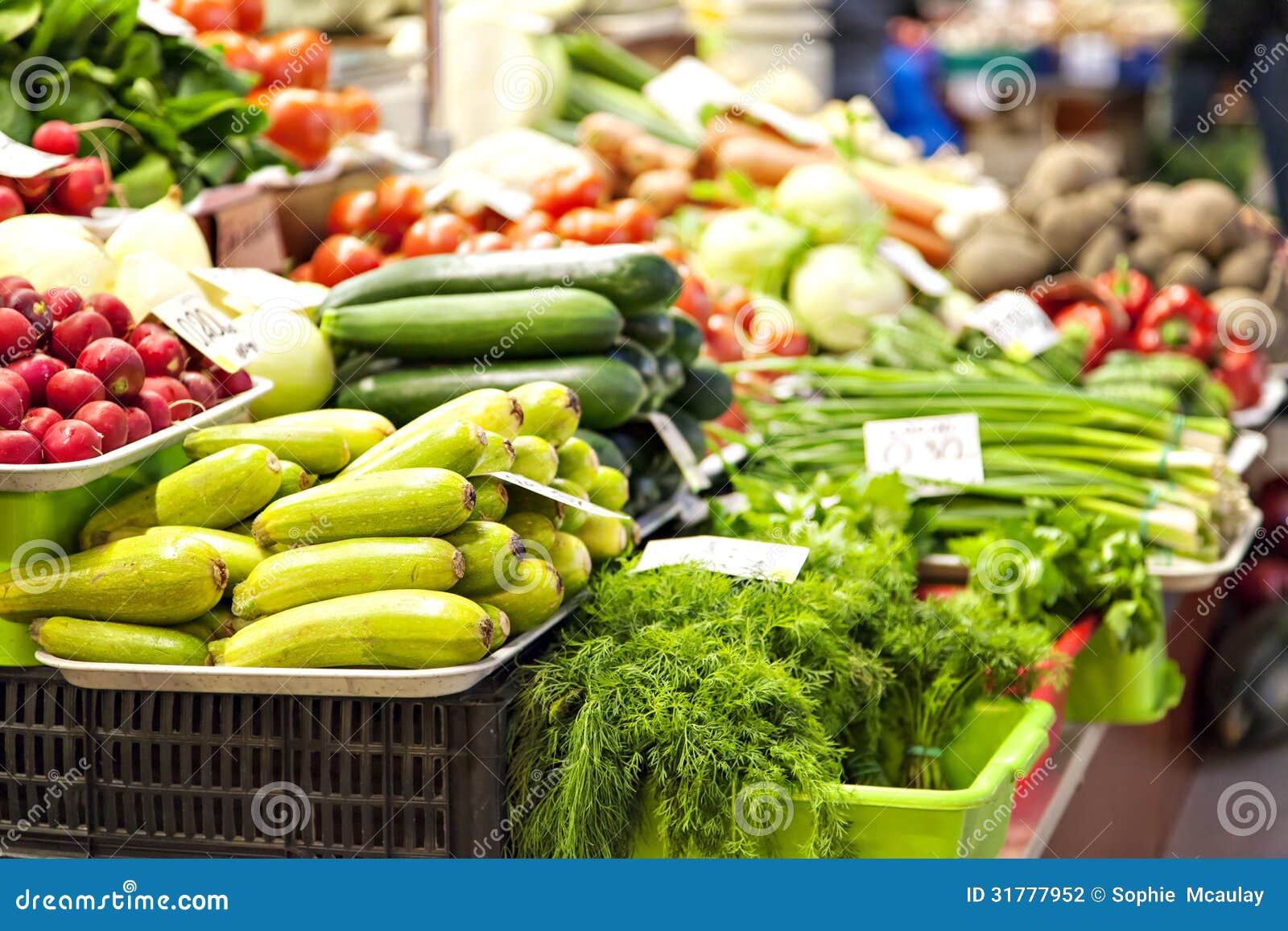 Supermarket Fresh Vegetetables Stock Photography - Image: 31777952
