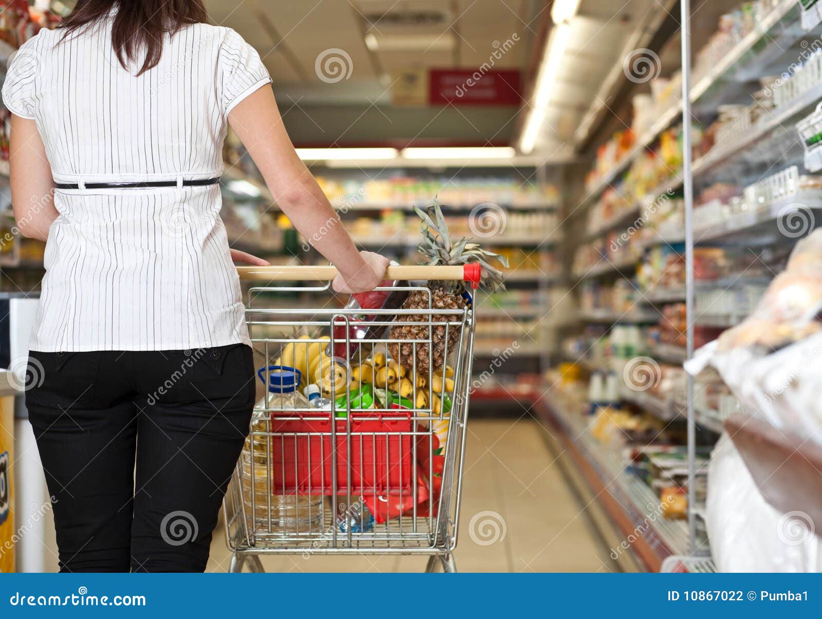 Supermarket Shopper stock photo. Image of grocery, people - 10867022