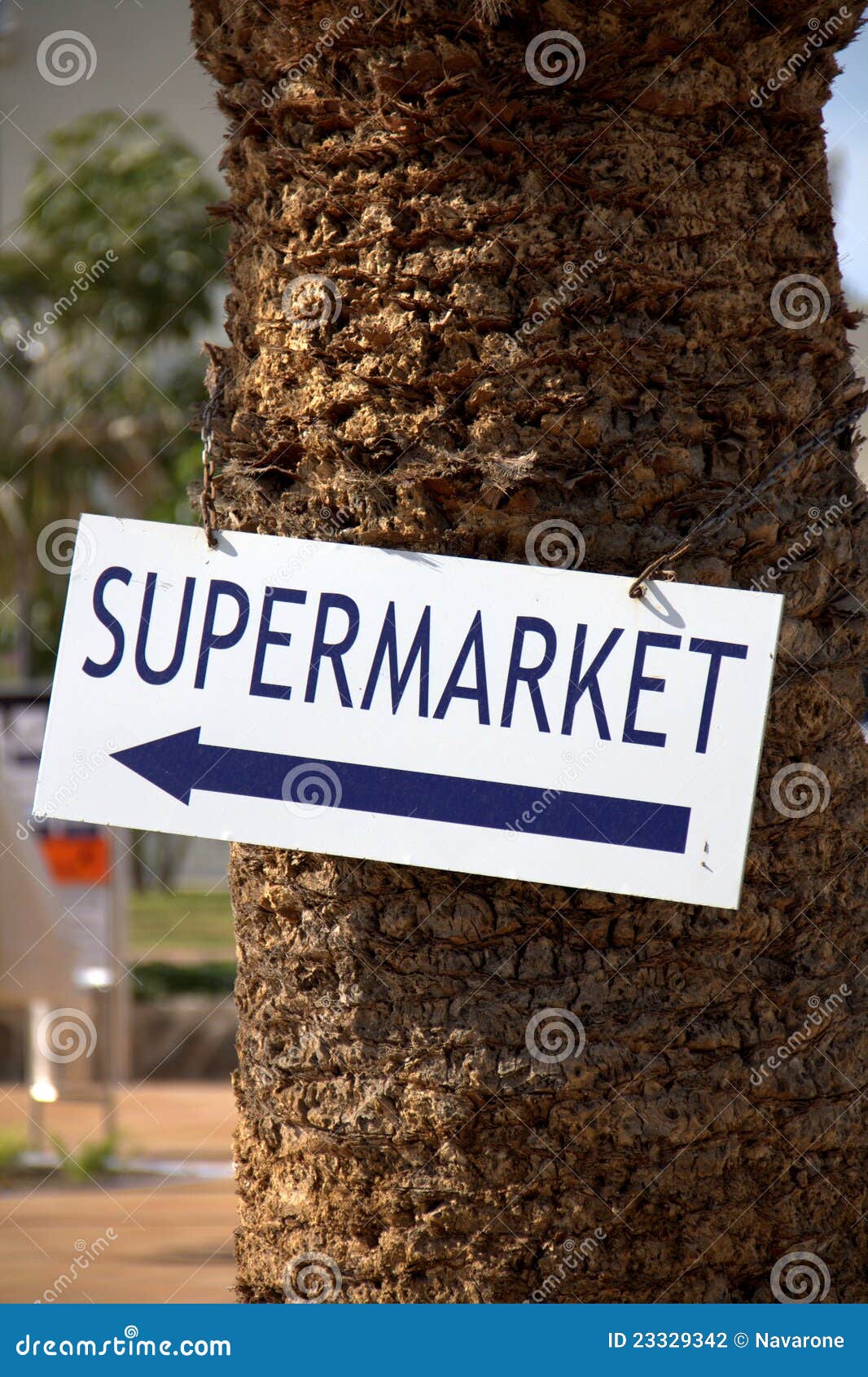 Supermarket Sign on Tree Trunk Stock Photo - Image of closeup, hanging ...
