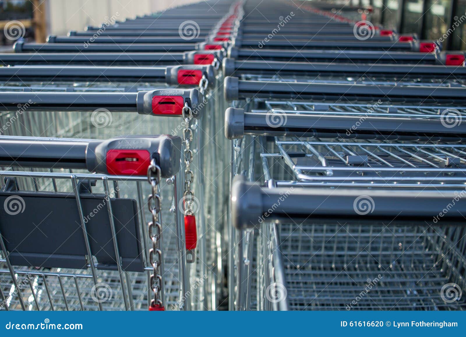 Supermarket trolleys stock photo. Image of trolleys, trolley - 61616620