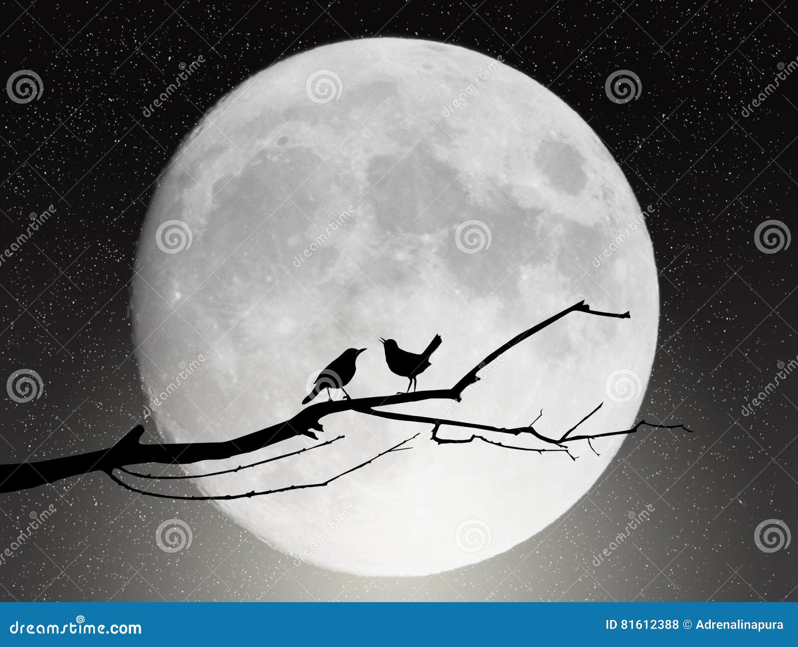 Supermoon stock illustration. Illustration of astronomy - 81612388