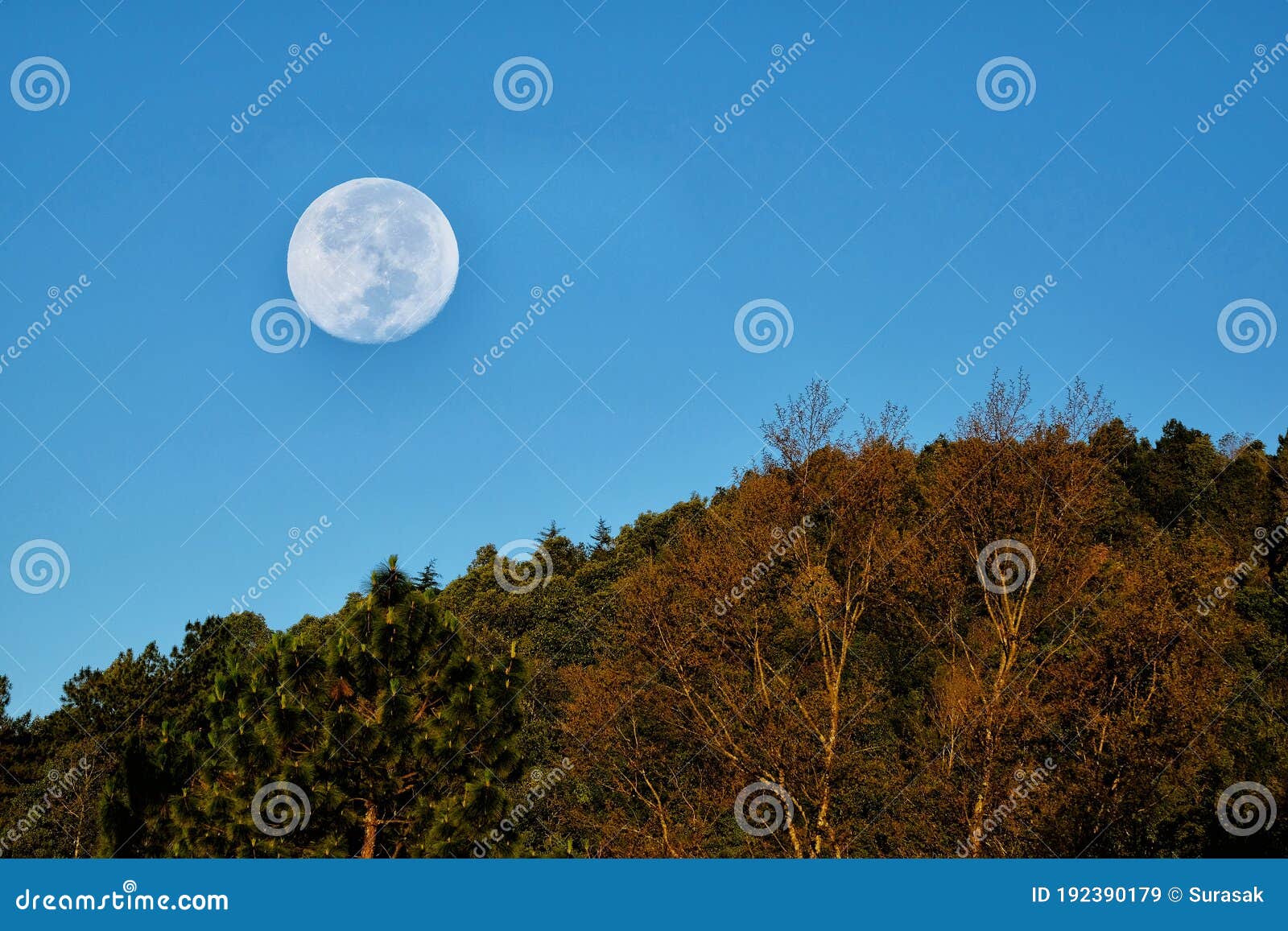 Supermoon Full Moon in Nature Stock Image - Image of beauty, dream ...