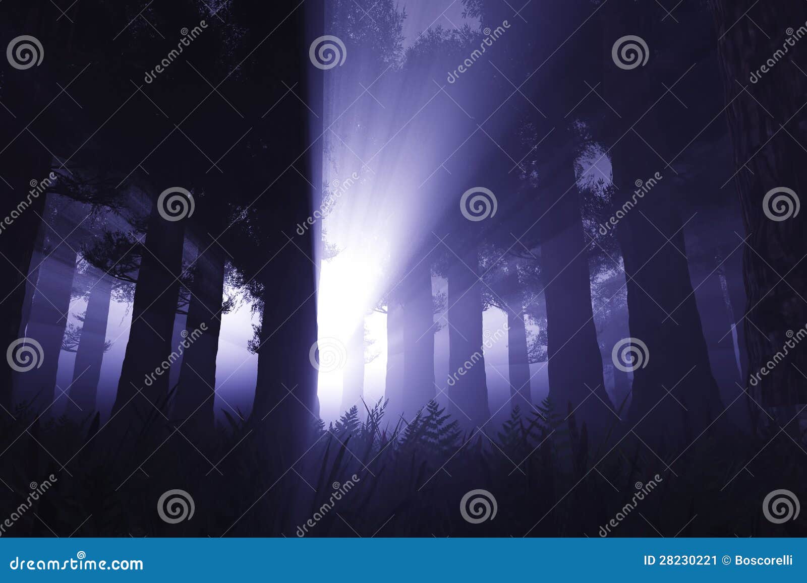 Supernatural Signs in Night Forest 3D Render 1 Stock Illustration ...