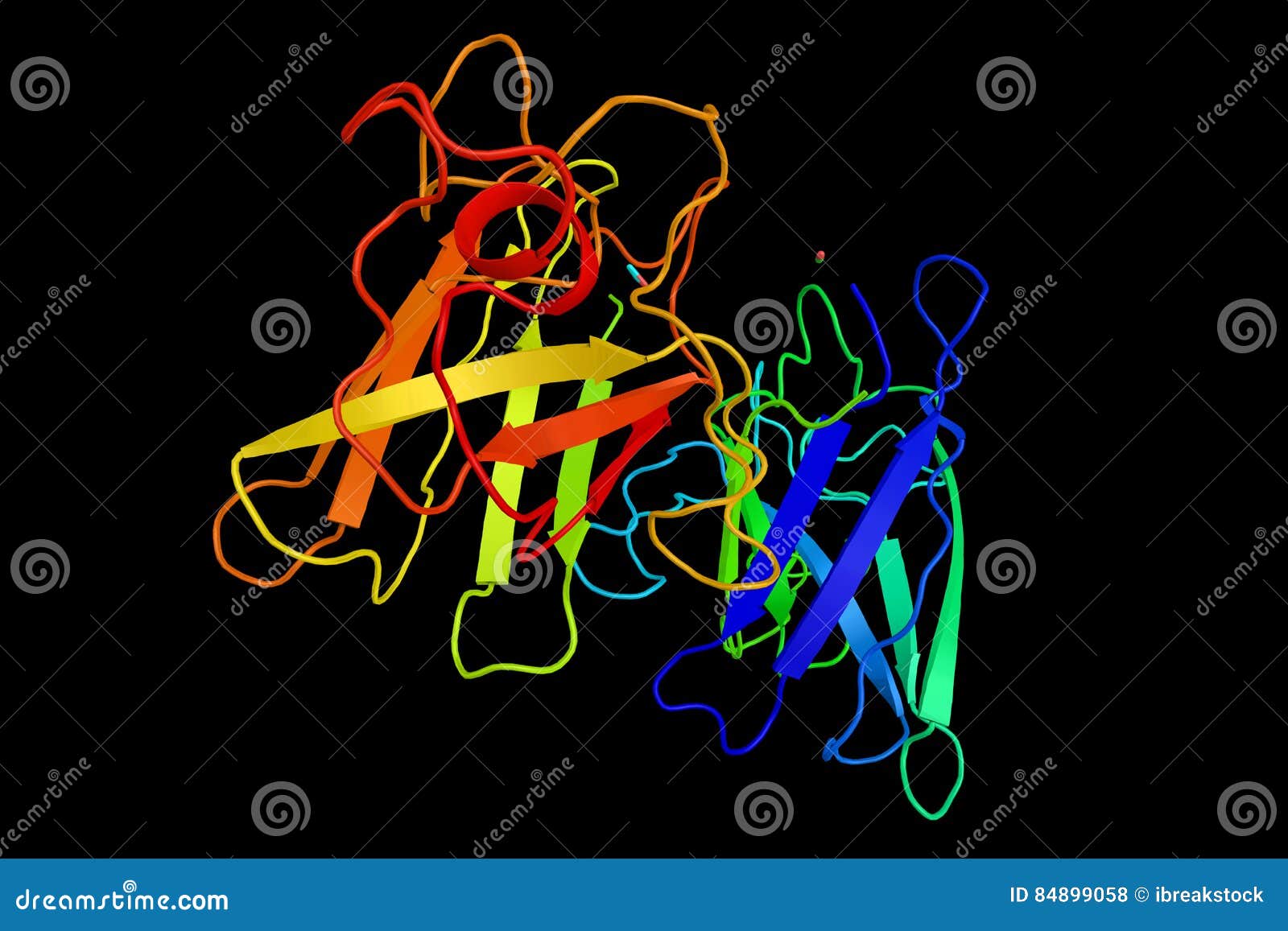 Superoxide Dismutase Structure