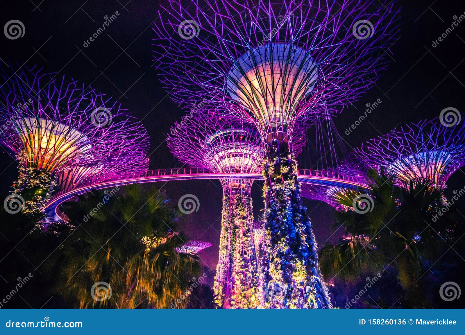 Singapore 2019-08-28 Supertree Grove - Neon Jungle! Editorial Photo ...