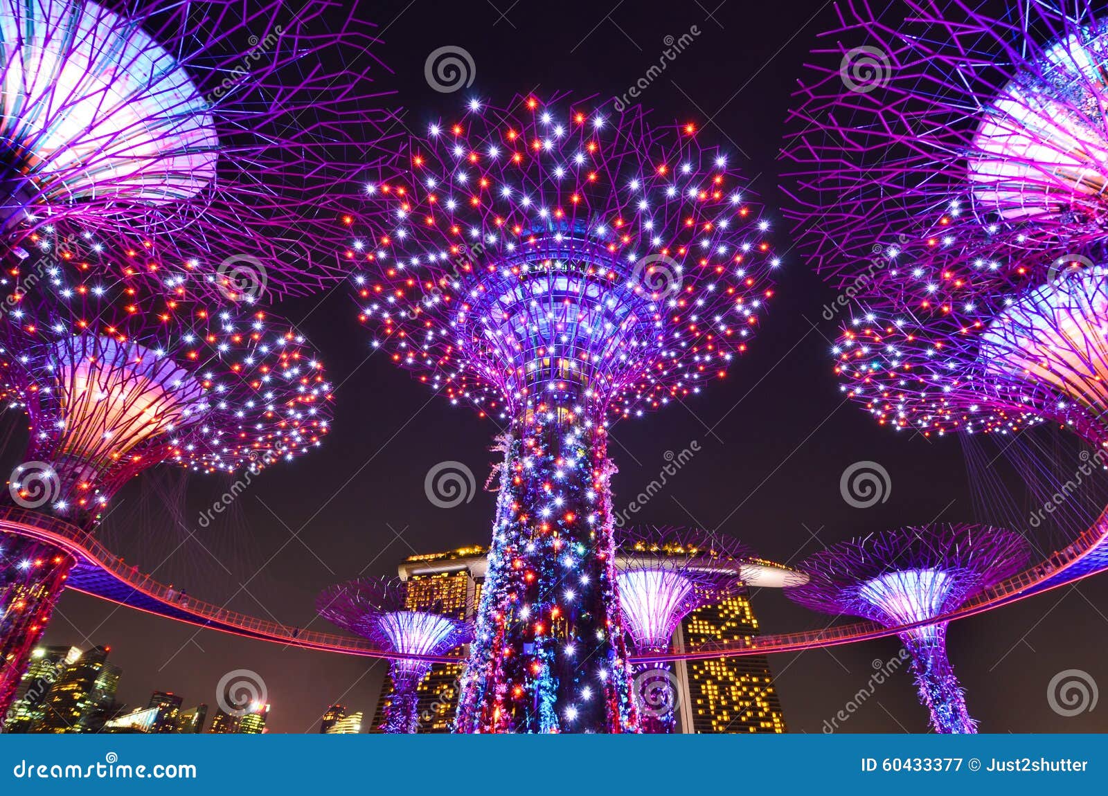 Supertree Grove at night stock image. Image of city, show - 60433377