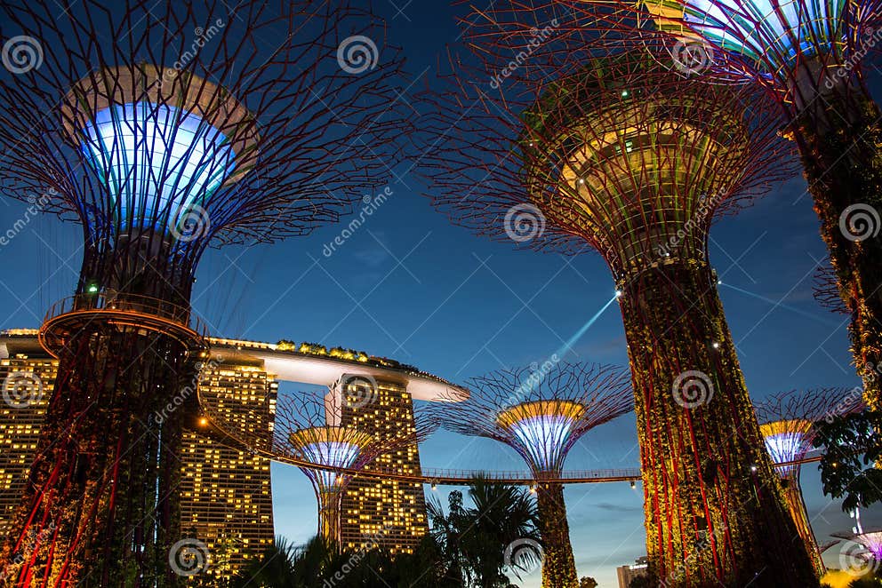 Supertree Structure editorial image. Image of garden - 25800040