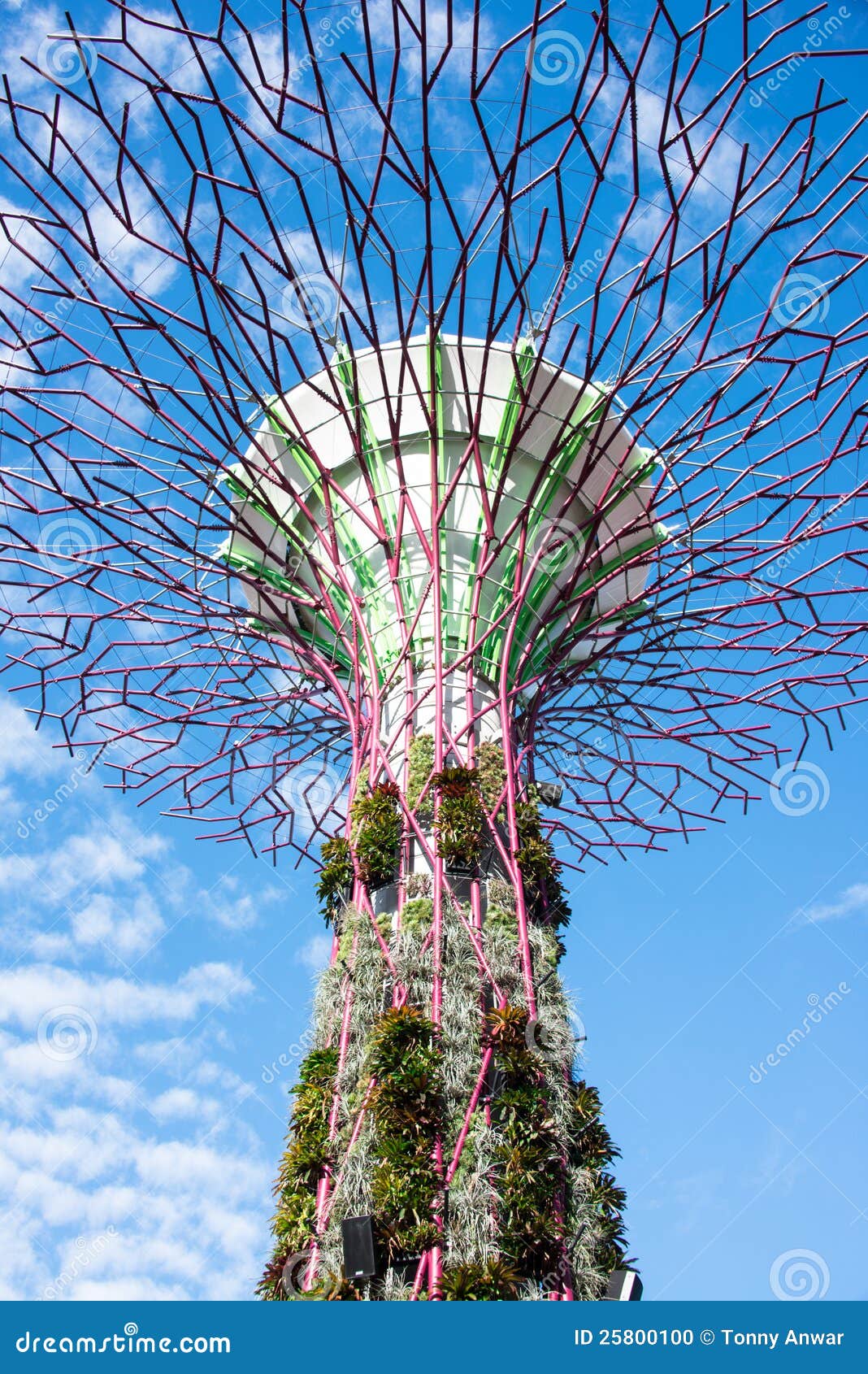 Supertree Structure stock photo. Image of design, structural - 25800100