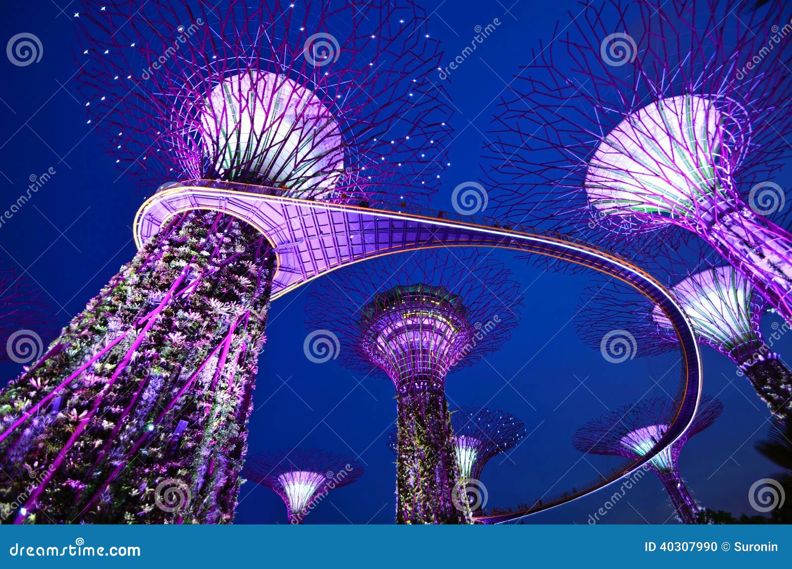 Supertrees stock photo. Image of southeast, colors, supertree - 40307990
