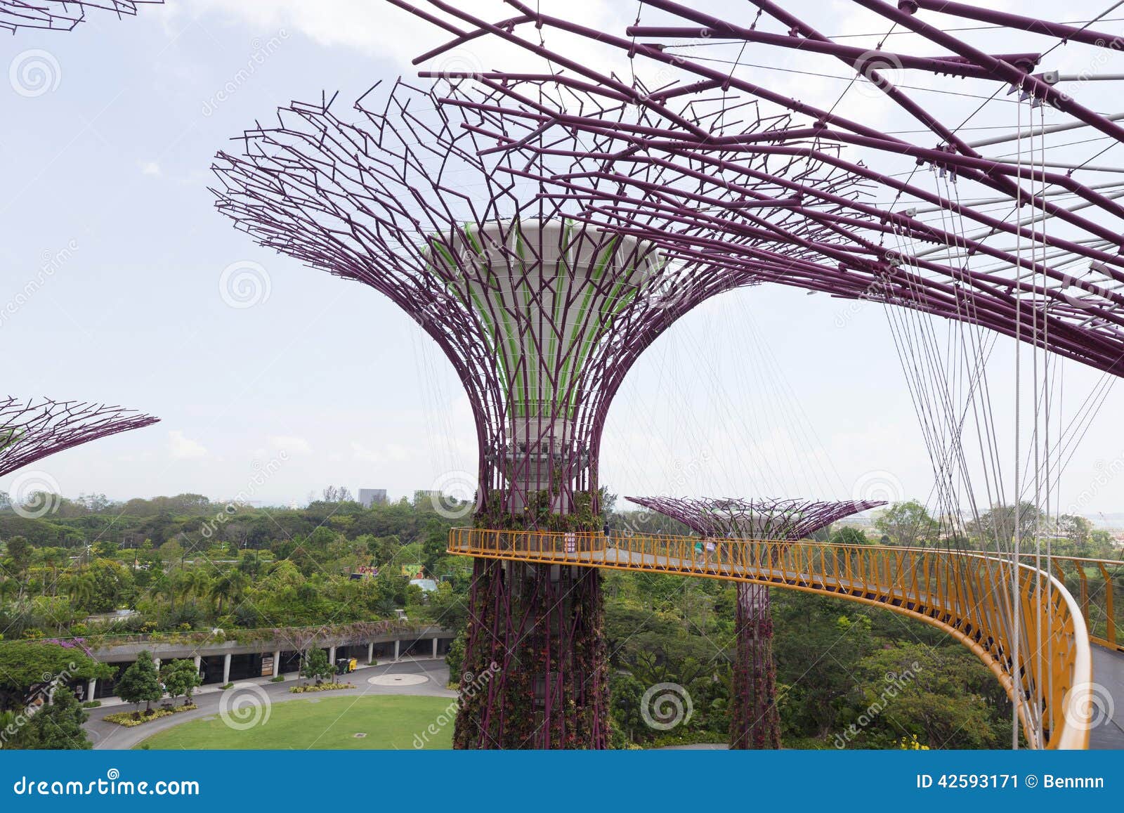 Supertrees Grove in Gardens by the Bay. Editorial Photo - Image of city ...