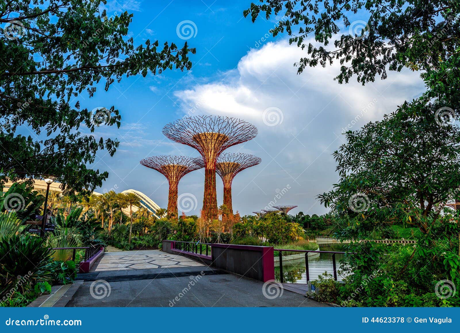 Supertrees at Marina Bay Sands, Singapore Stock Photo - Image of solar ...
