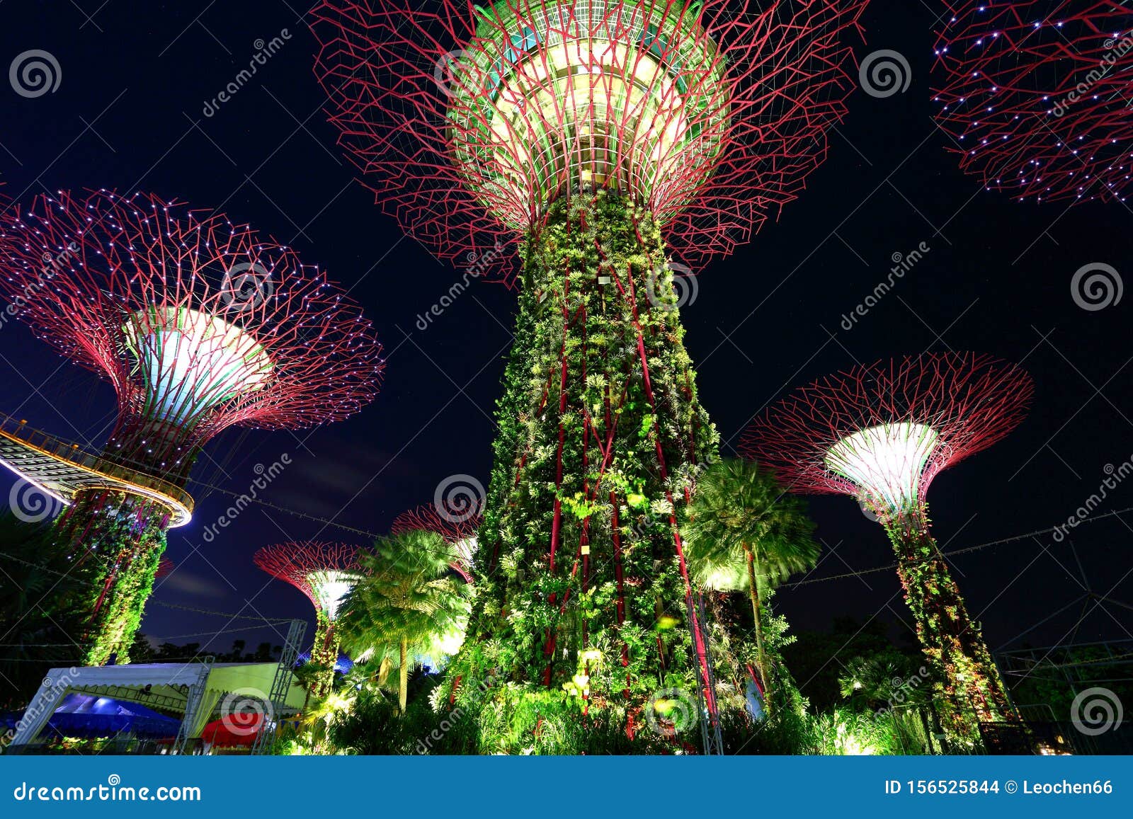 Supertrees, Trees are Illuminated by Different Lights in Gardens by the ...