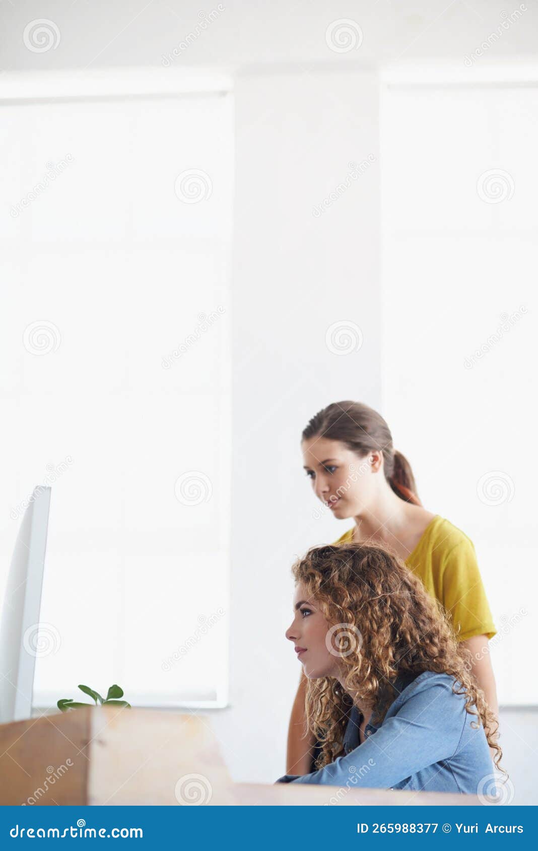 Supervising the Project. Two Colleagues Working on the Computer ...