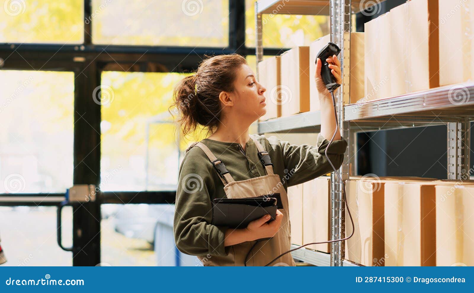 Supervisor Scanning Barcodes on Racks Stock Photo - Image of shelves ...