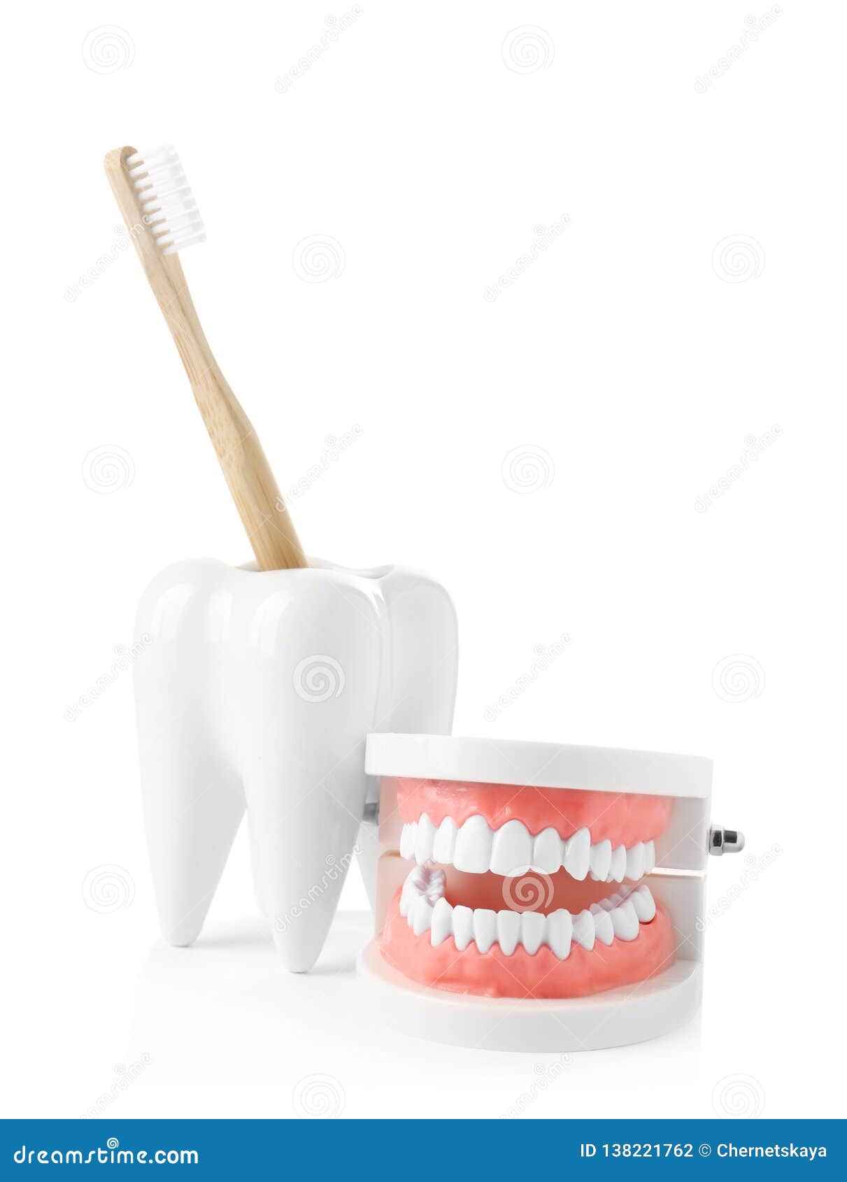 Suporte Dado Forma Dente Com Escova E Modelo Da Cavidade Oral Foto de ...