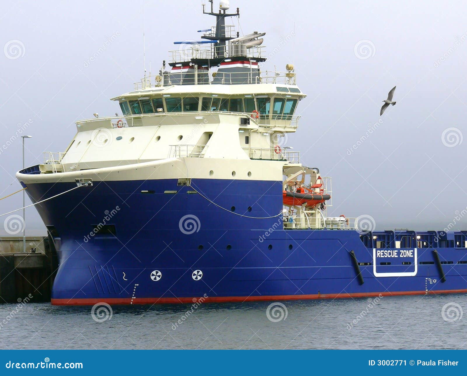 Supply Ship stock image. Image of seagull, ship, berthed - 3002771