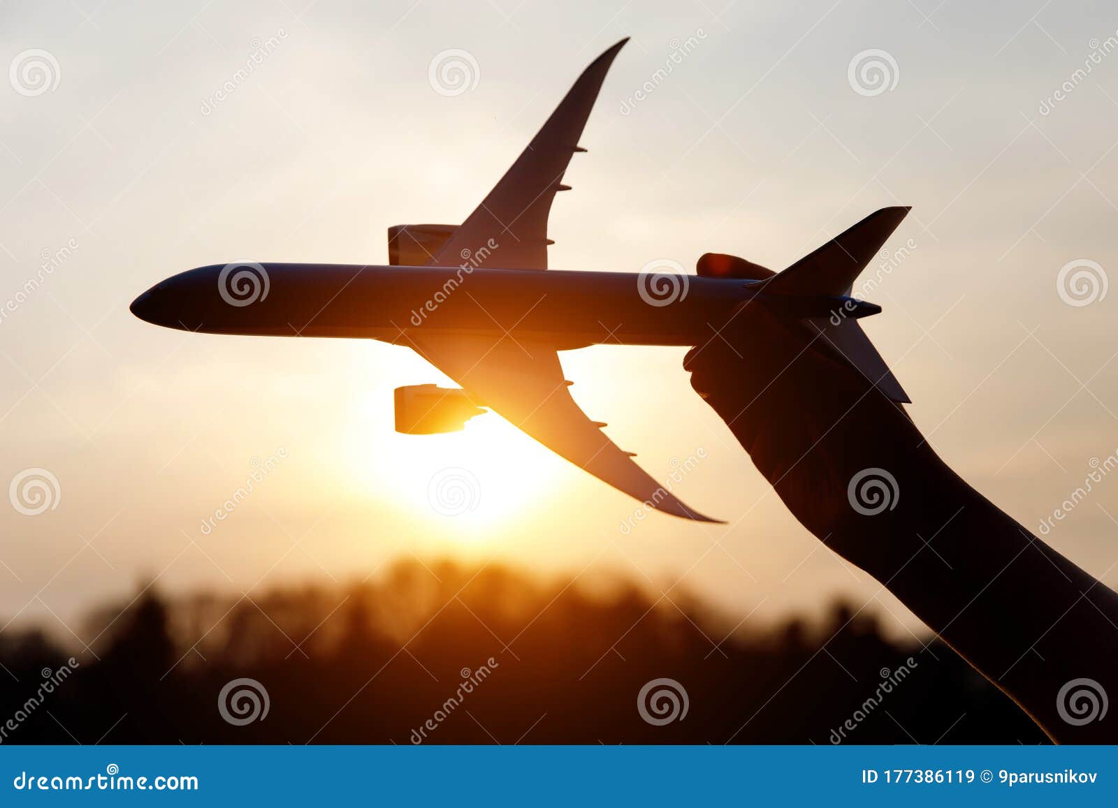 Support for the Airplane in the Sky. the Plane in the Hand of Assistant ...