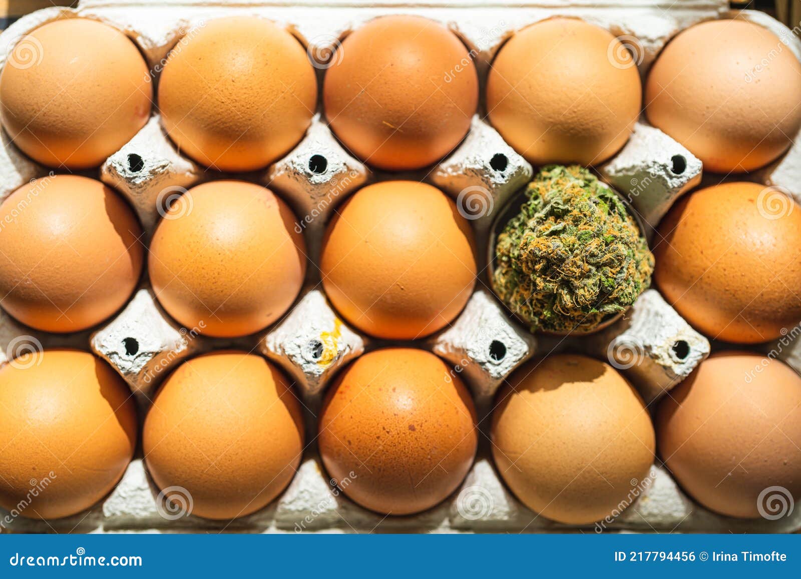 Support Marijuana Legalization - Normalize Pot Use Stock Photo - Image ...