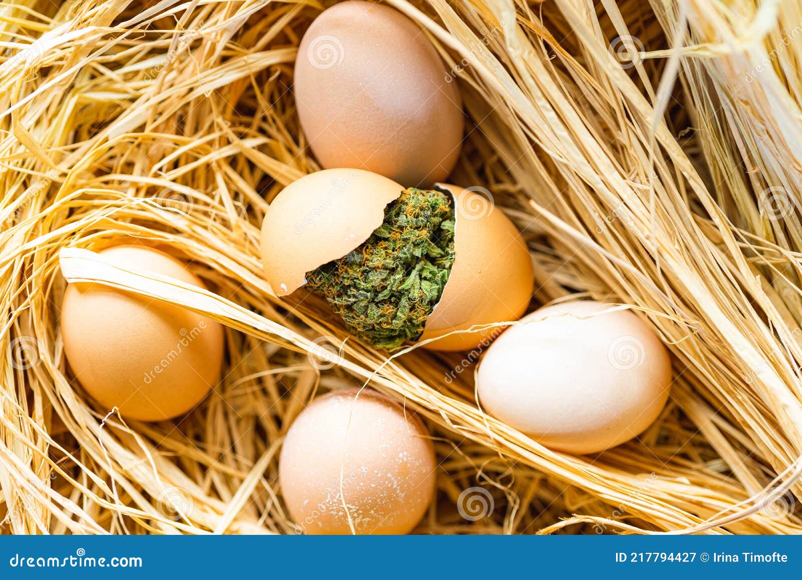 Support Marijuana Legalization - Normalize Pot Use Stock Image - Image ...