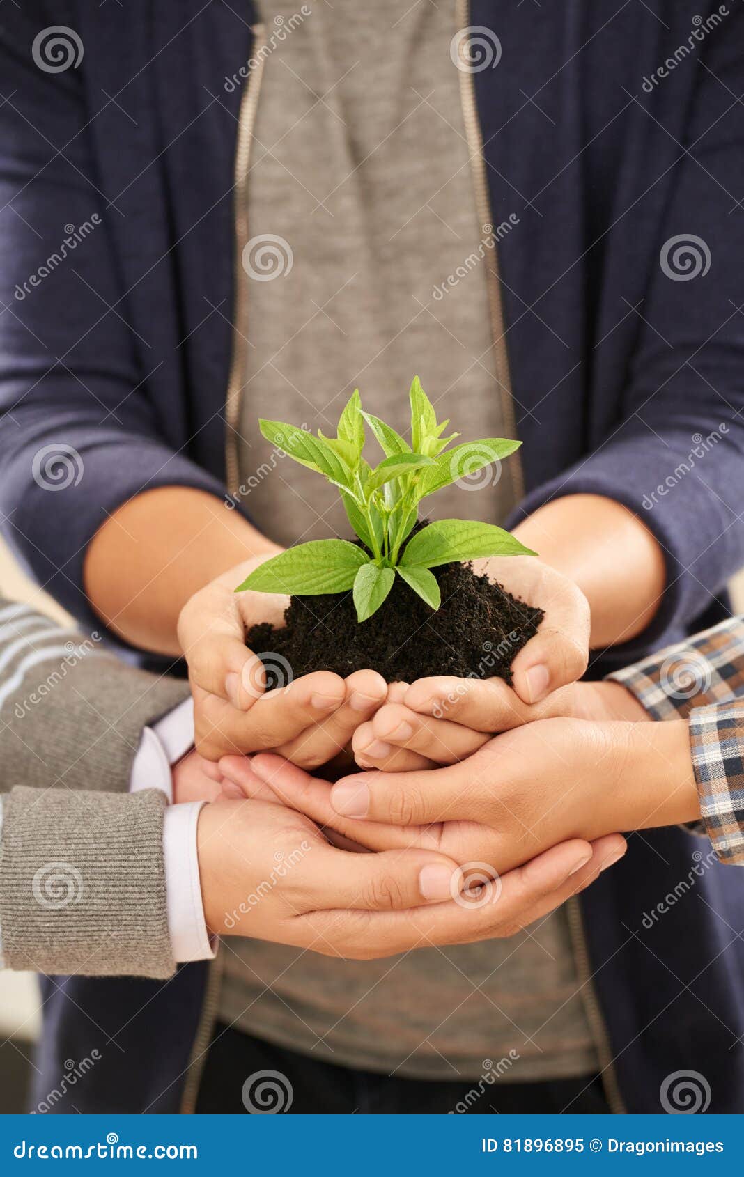 Supporting environment stock image. Image of ecology - 81896895