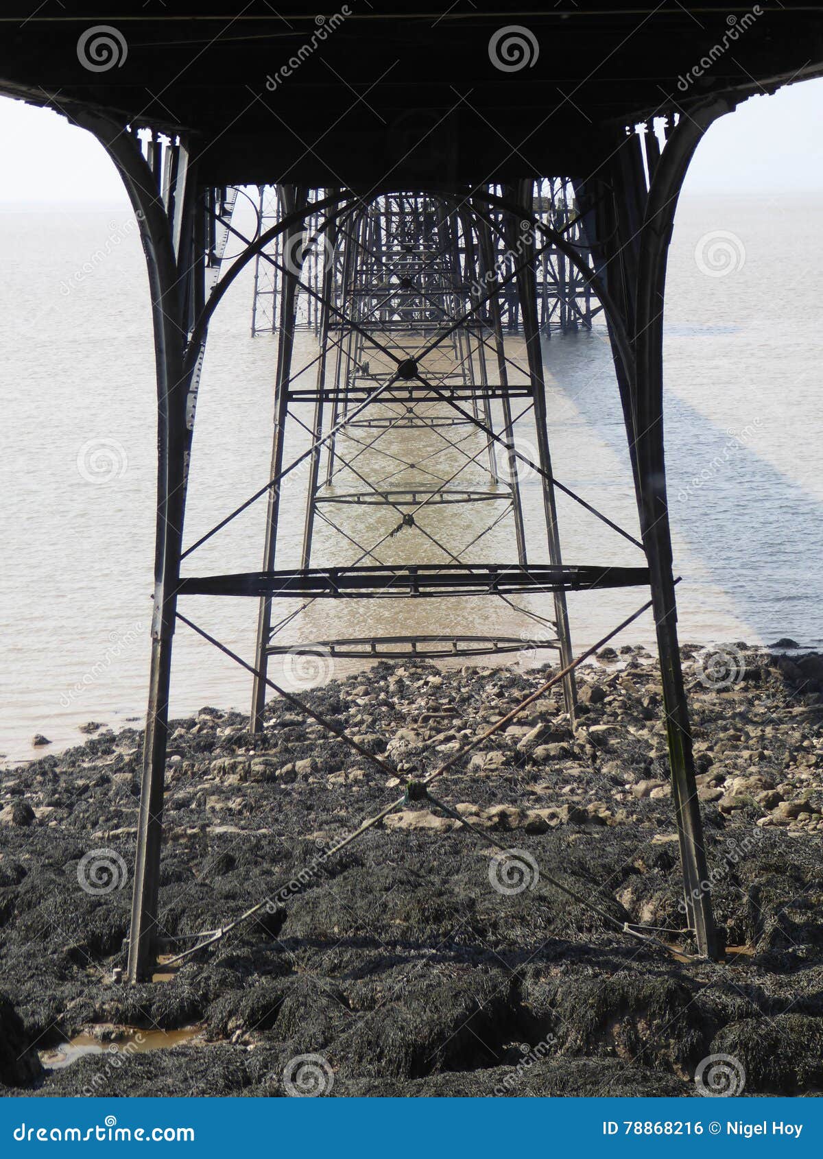 Supporting Legs and Struts on Pier Stock Photo - Image of foreshore ...
