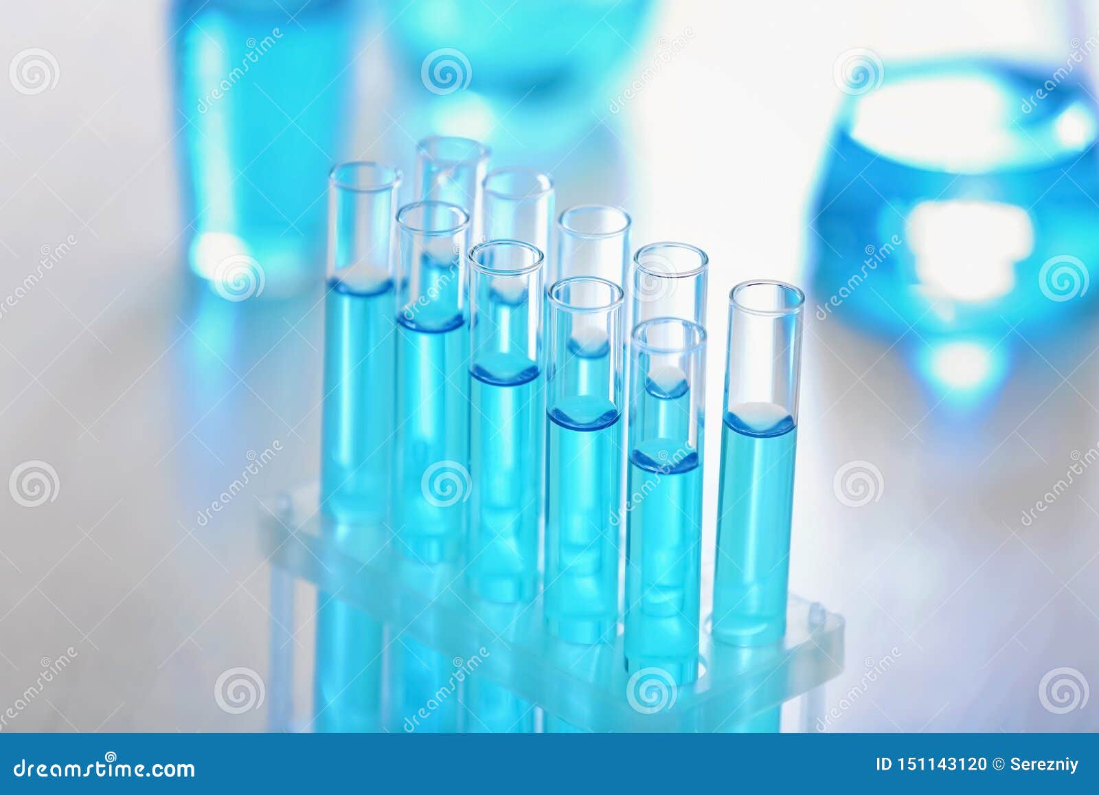 Supporto Con Le Provette in Laboratorio Fotografia Stock - Immagine di ...