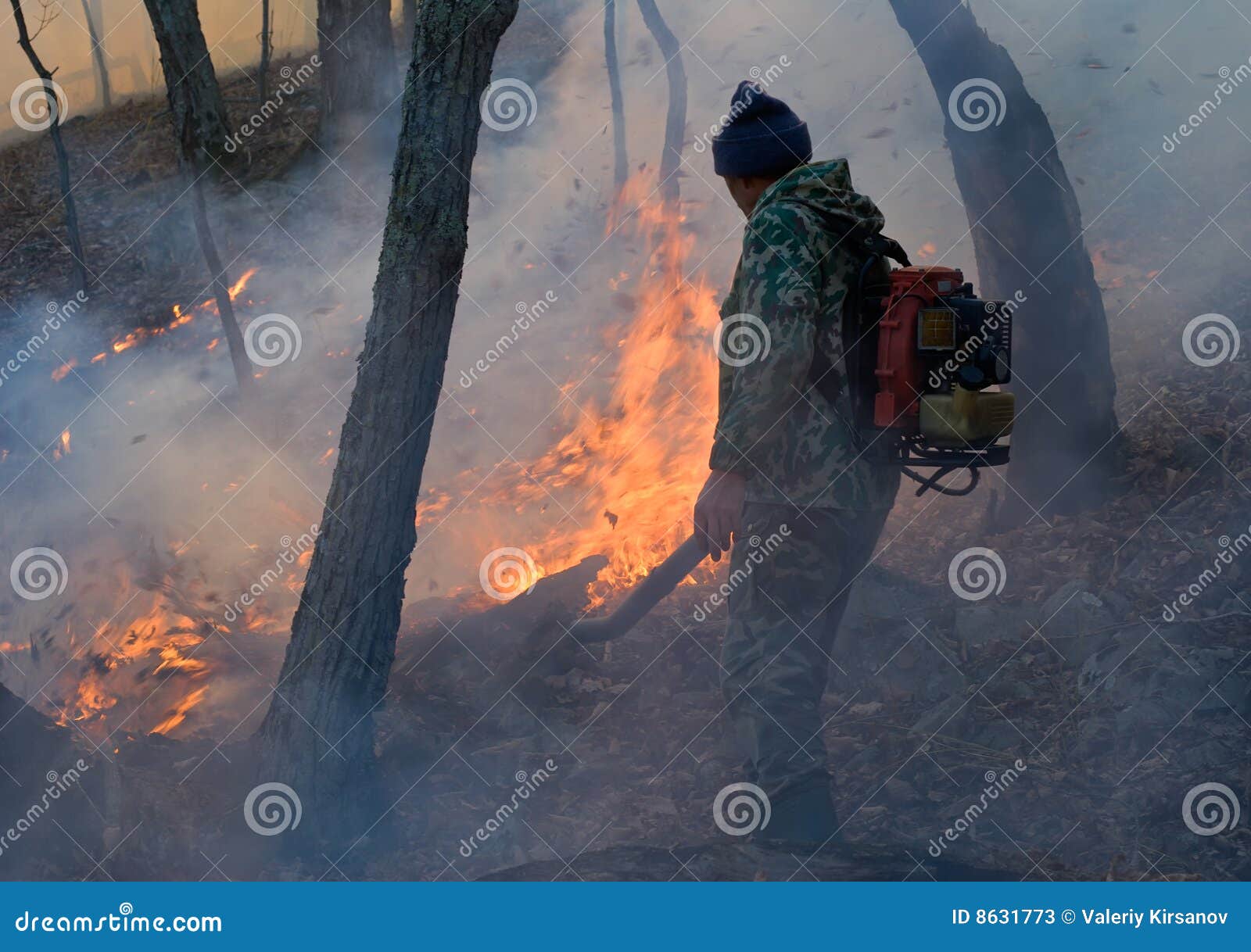 Suppression of Forest Fire 13 Stock Image - Image of flammable, outdoor ...