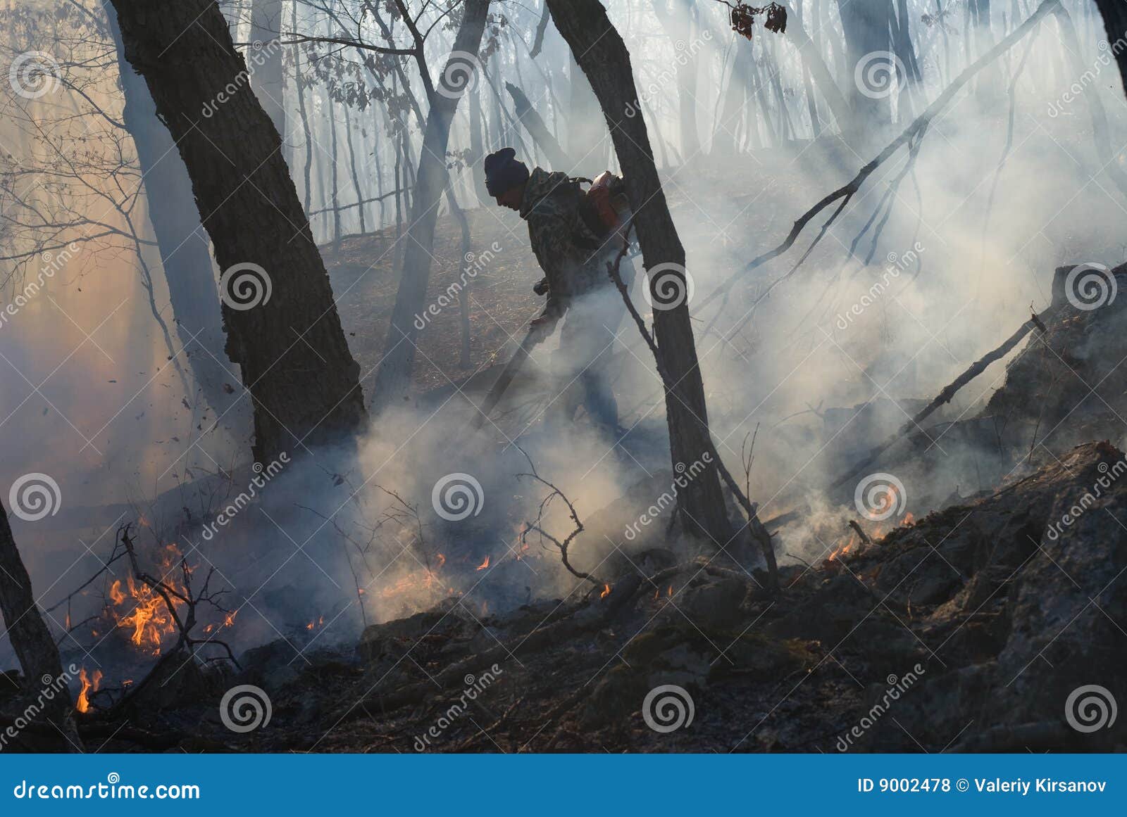 Suppression of Forest Fire 24 Stock Photo - Image of ranger, flame: 9002478
