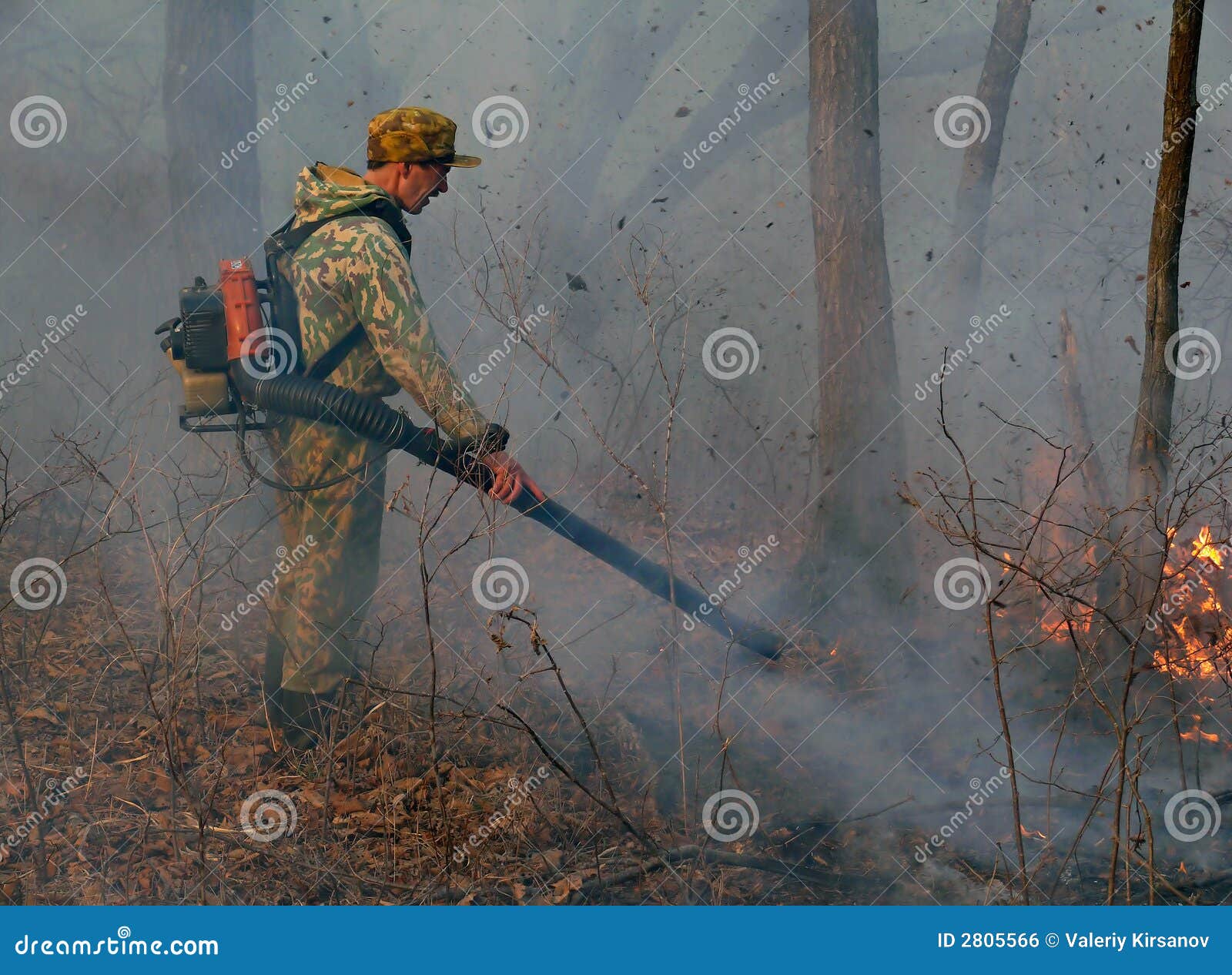 Suppression of Forest Fire 5 Stock Photo - Image of forest, preserve ...