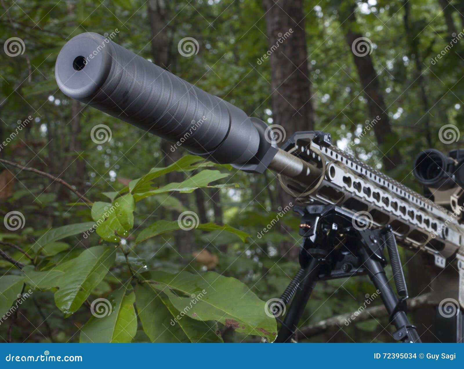 Suppressor stock photo. Image of branches, black, metal - 72395034