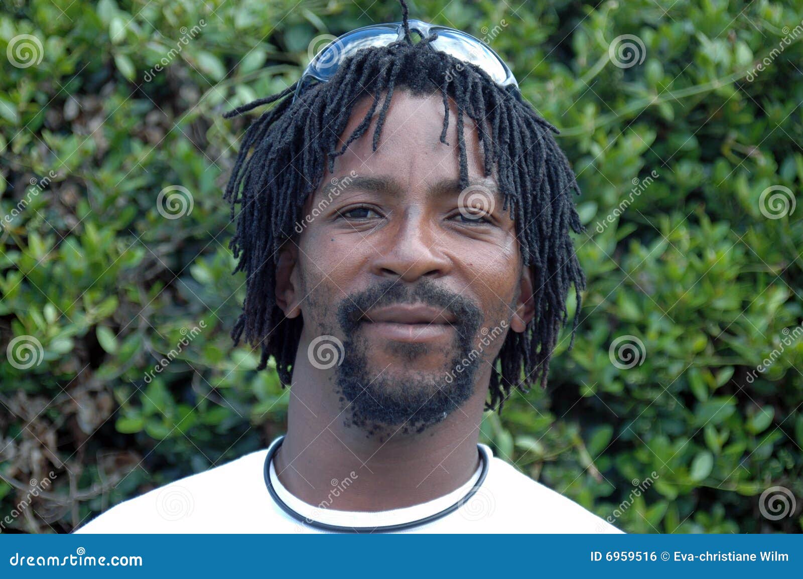 Surafricano cómodo foto de archivo. Imagen de arbustos - 6959516