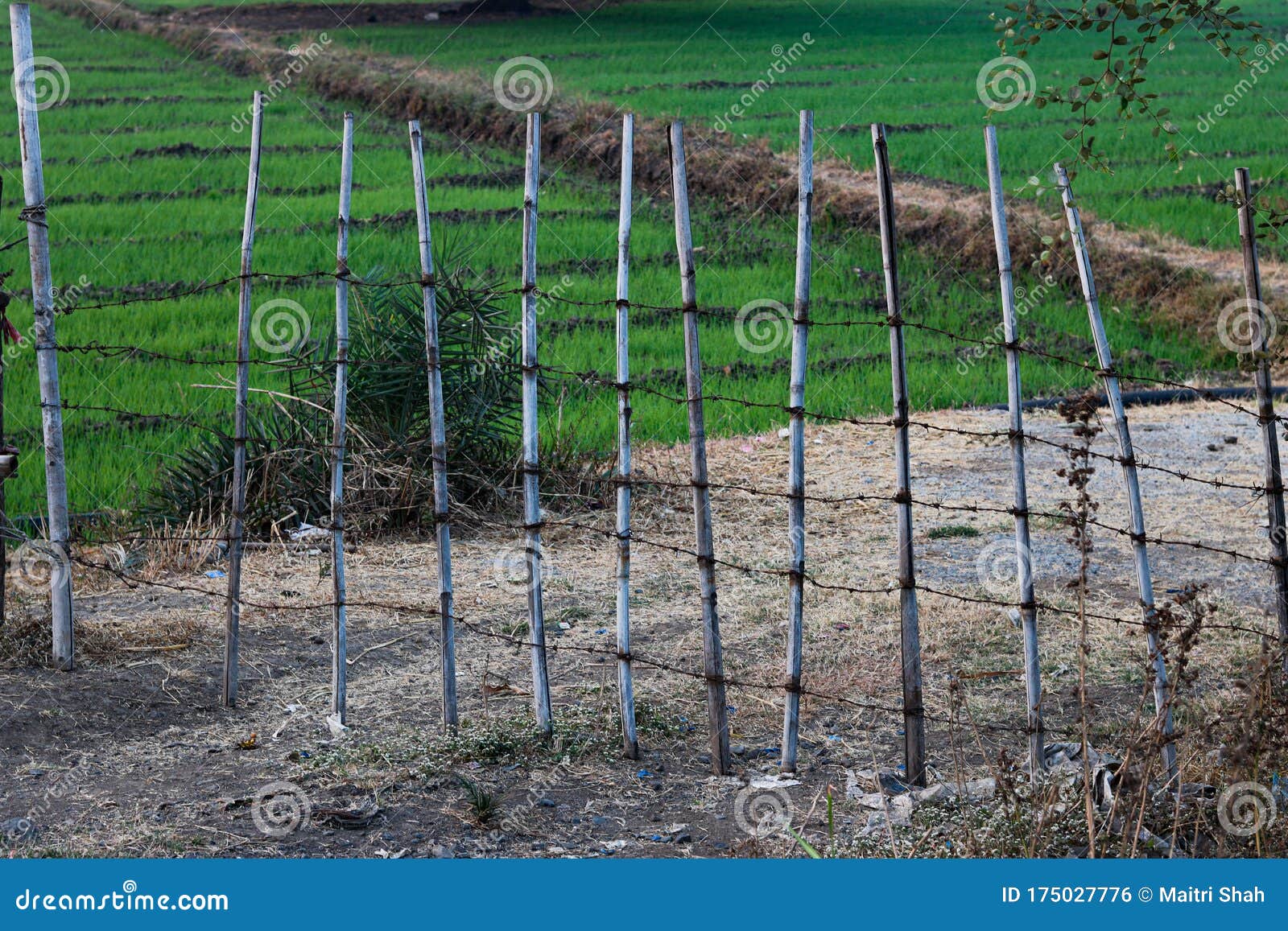Ledge With Railing Separating Pools Royalty-Free Stock Image ...